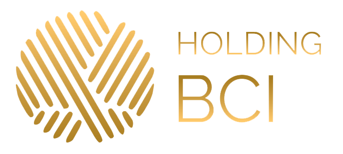 Holding BC Invest